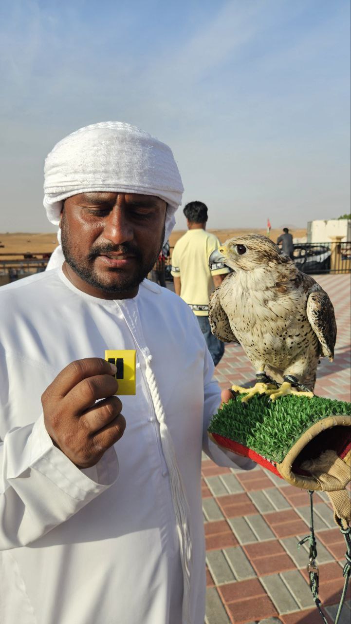 Falcon Live GPS Tracker
